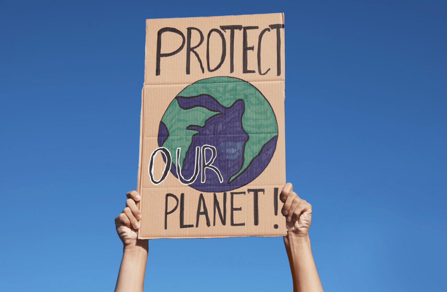 Home - Count Your Carbon